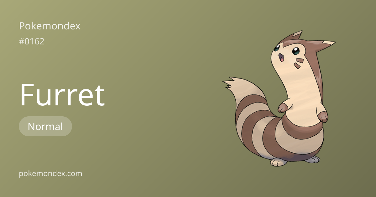 Furret Pokédex: stats, moves, evolution & locations | Pokemondex