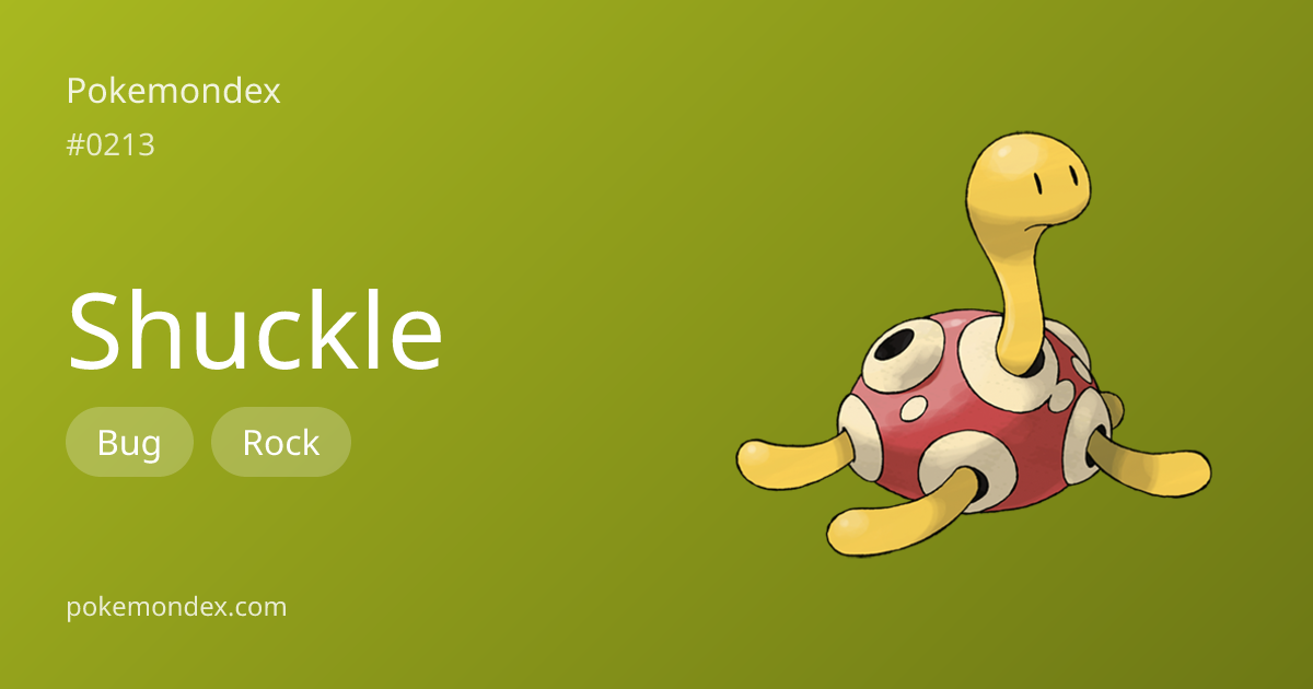 Shuckle Pokédex: stats, moves, evolution & locations | Pokemondex