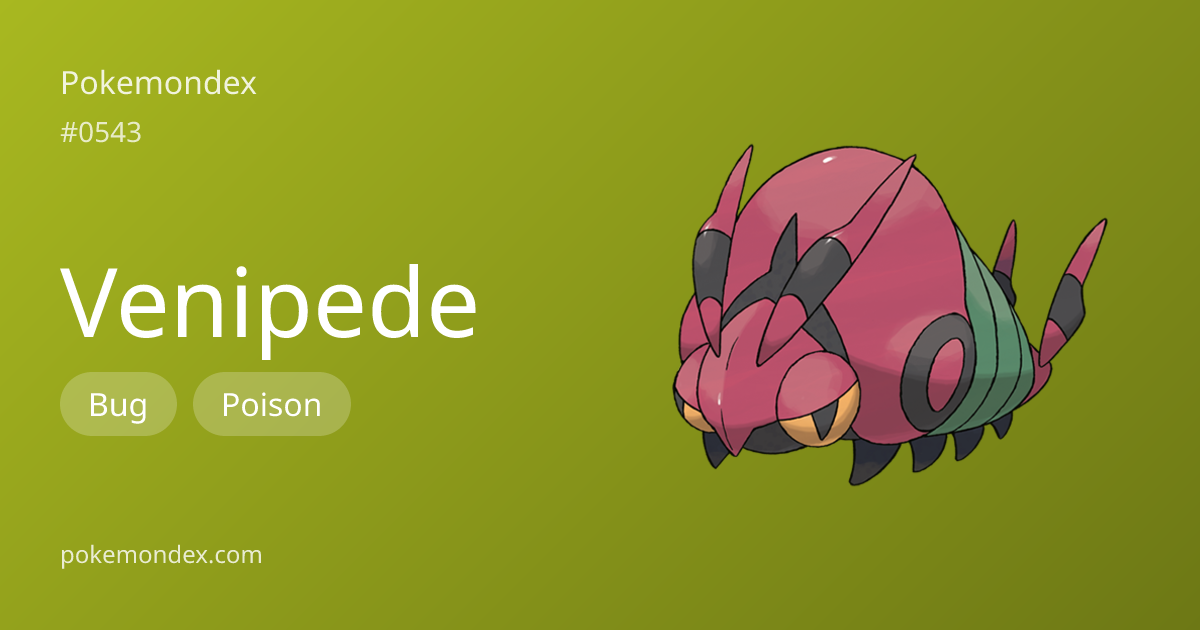 Venipede Pokédex: stats, moves, evolution & locations | Pokemondex